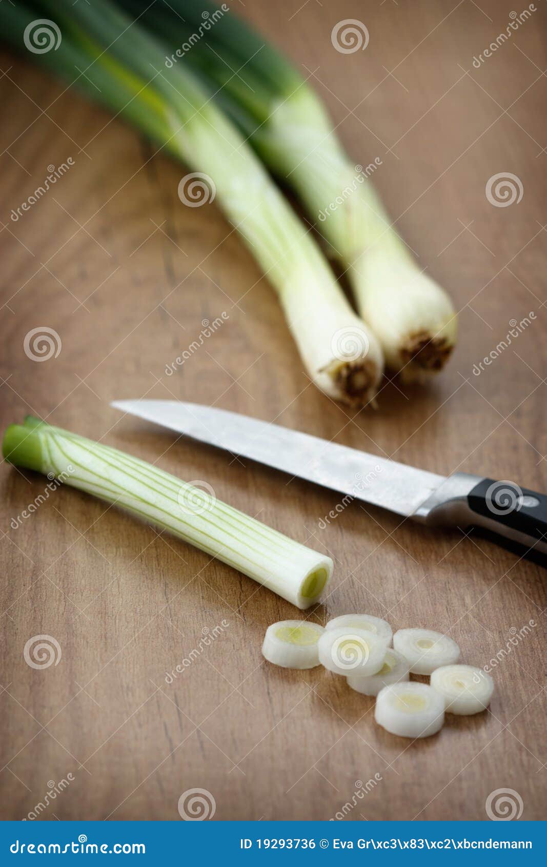 Spring Onions stock photo. Image of onion, knife, vegetables - 19293736