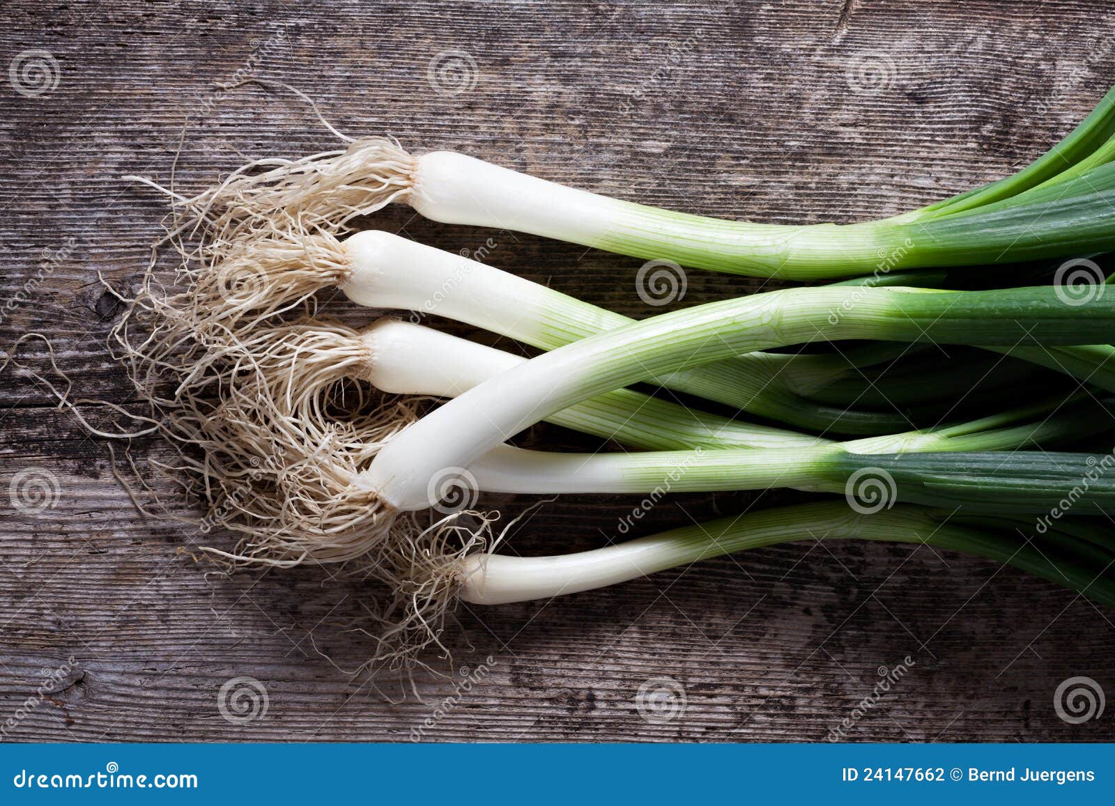 Spring onions stock photo. Image of onions, food, organic - 24147662