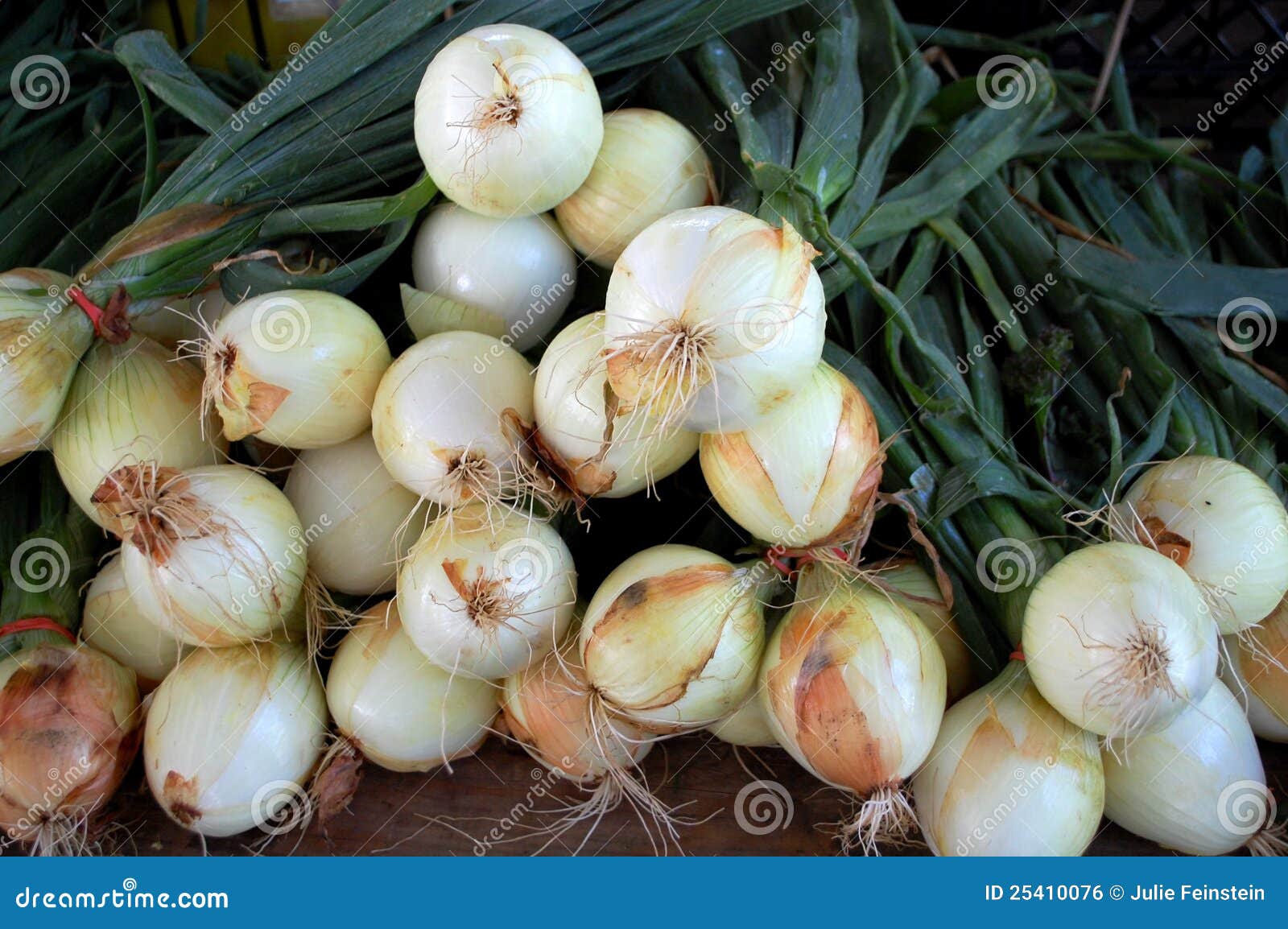 Spring Onions stock photo. Image of green, food, vegetable - 25410076