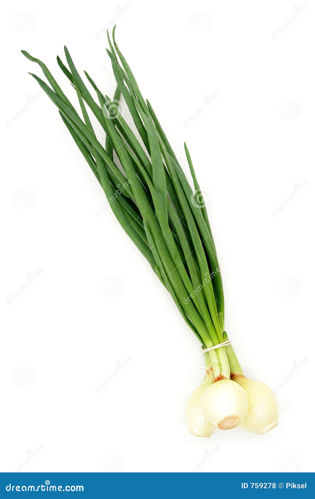 Spring onions stock photo. Image of objects, green, produce - 759278