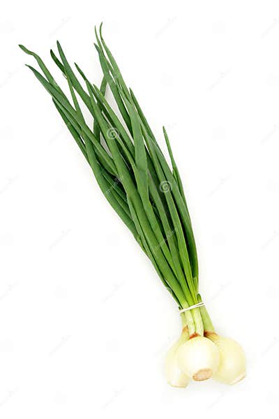 Spring onions stock photo. Image of objects, green, produce - 759278
