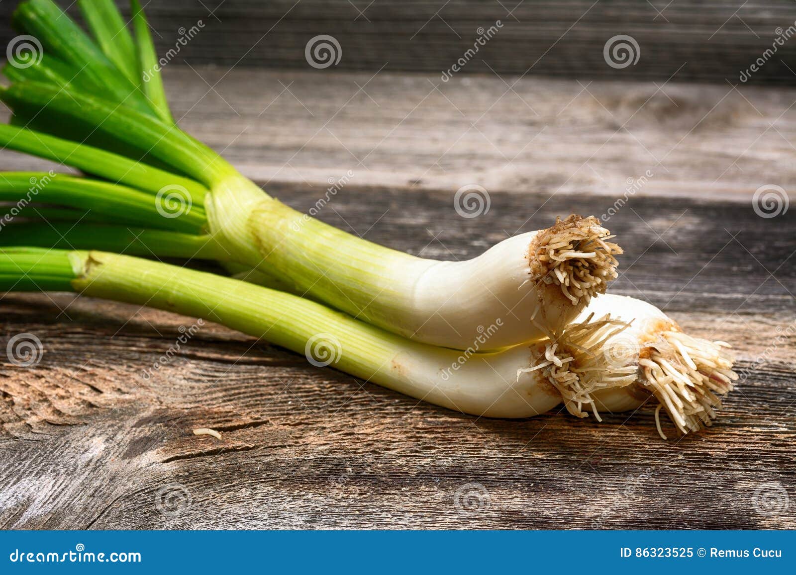 Spring onions bunch stock image. Image of allium, ingredient - 86323525