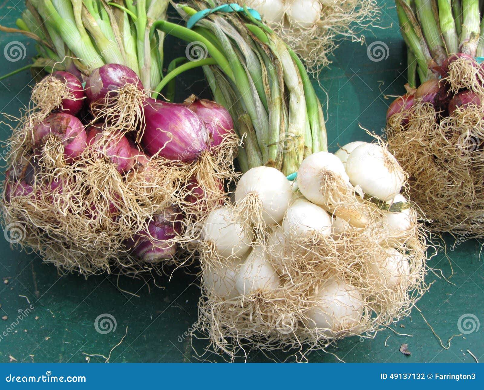 Spring Onions stock photo. Image of onions, food, bunches - 49137132
