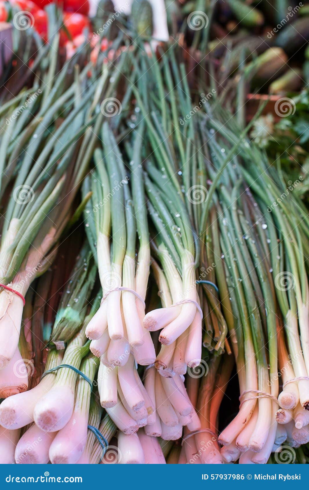 Spring Onions stock photo. Image of onion, ripe, white - 57937986