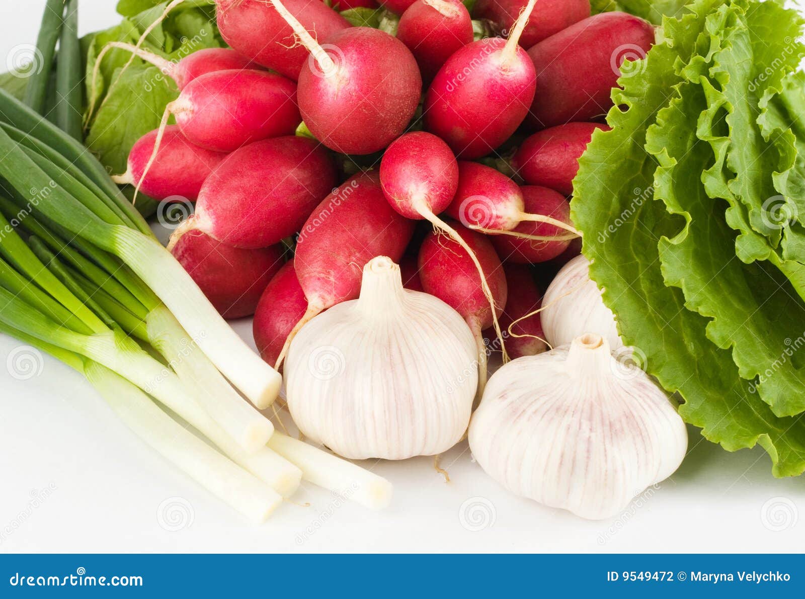 Spring Onions, Garlic, Lettuce And Radish Stock Photo - Image of ...