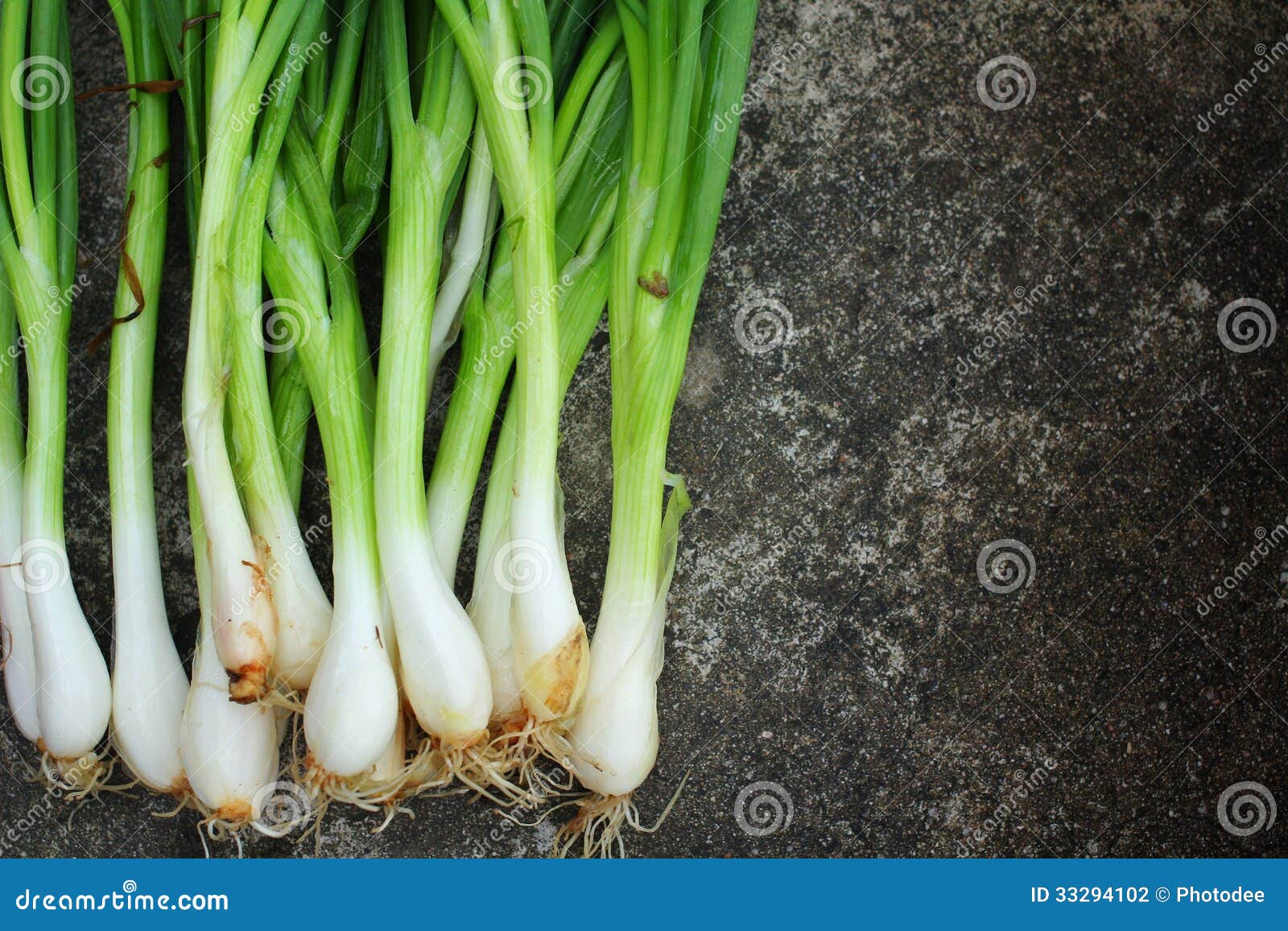 Spring onions stock photo. Image of vegetarianbunches - 33294102