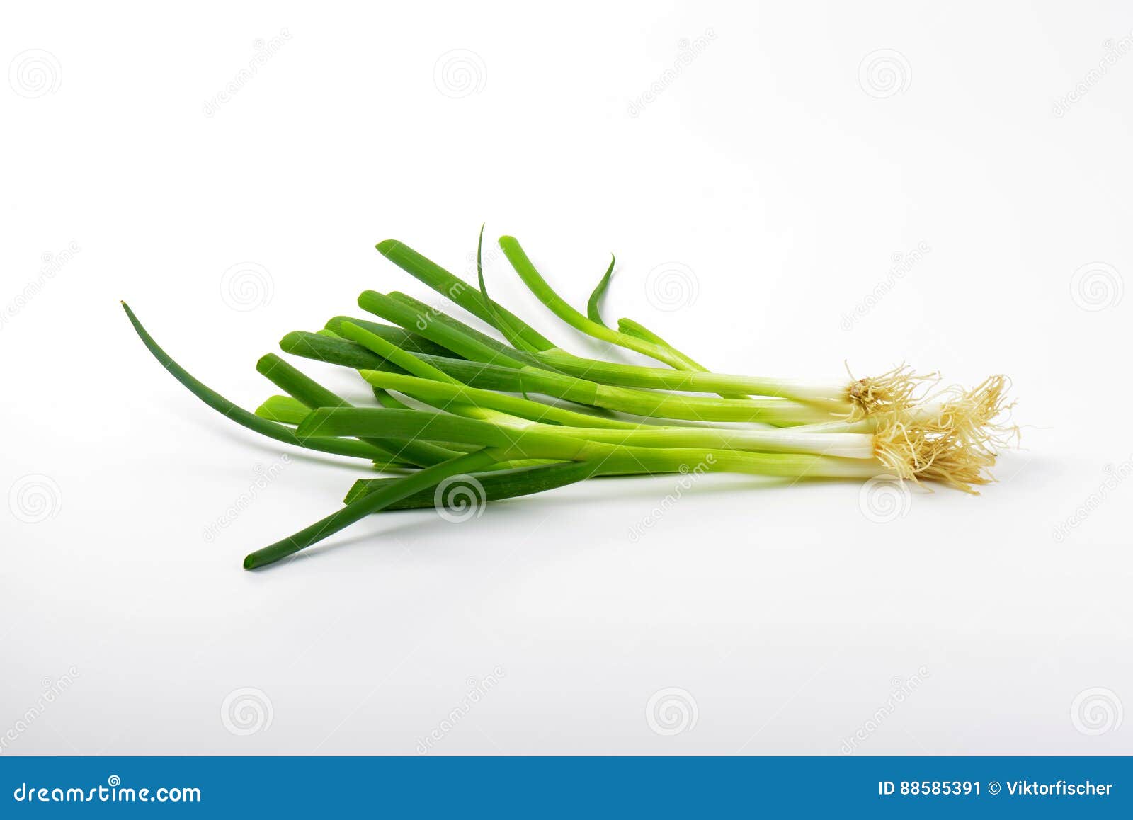 Spring onions scallions stock image. Image of ripe, group - 88585391