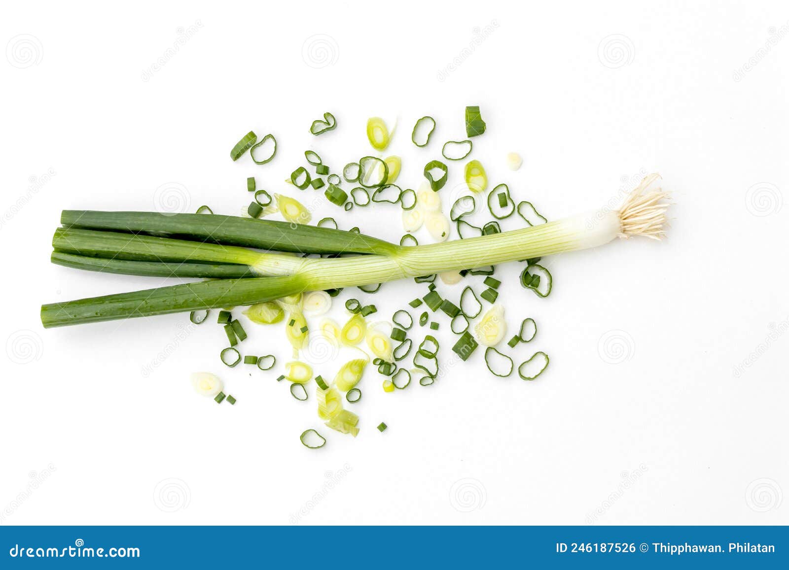 Spring Onions Slices or Green Onions on White Background. Stock Photo ...