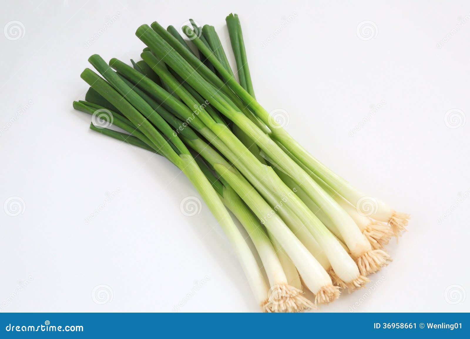 Spring onions stock image. Image of menu, food, green - 36958661