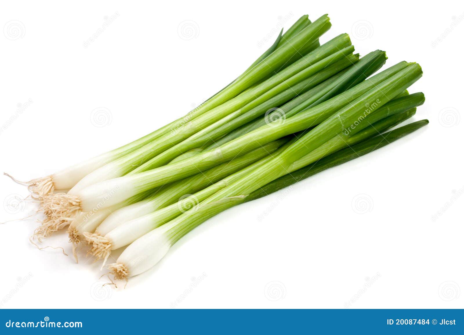 Spring Onions Washed Trimmed Layered in a Bunch. Stock Photo - Image of ...