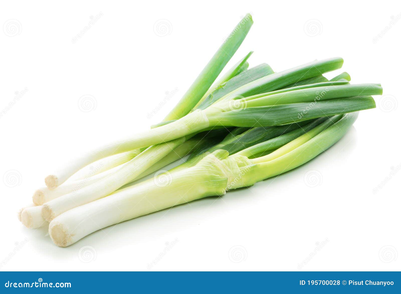 Spring Onions on White Background Stock Photo - Image of plant ...