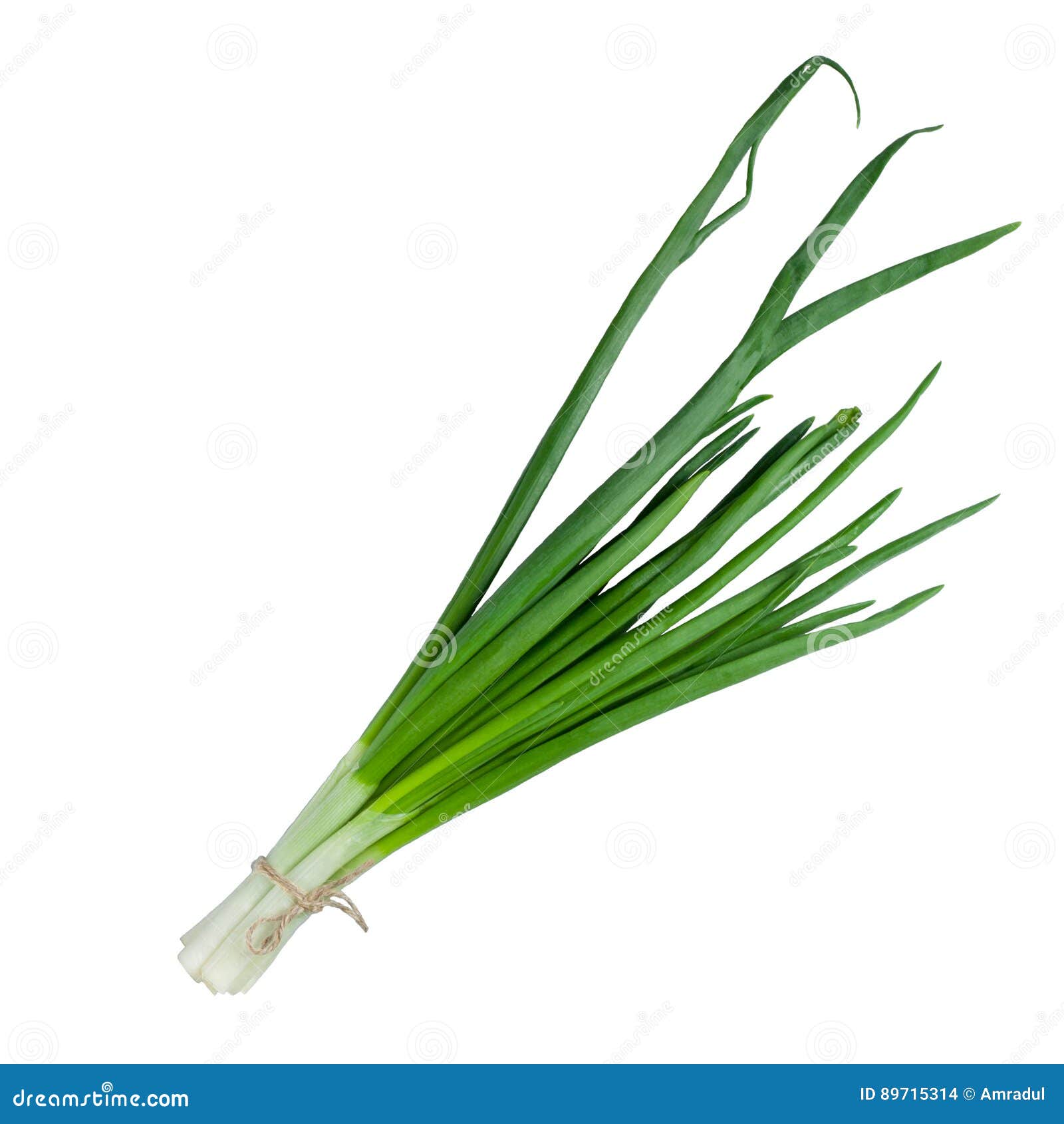 Spring Onions on White Background Stock Photo - Image of bunch ...