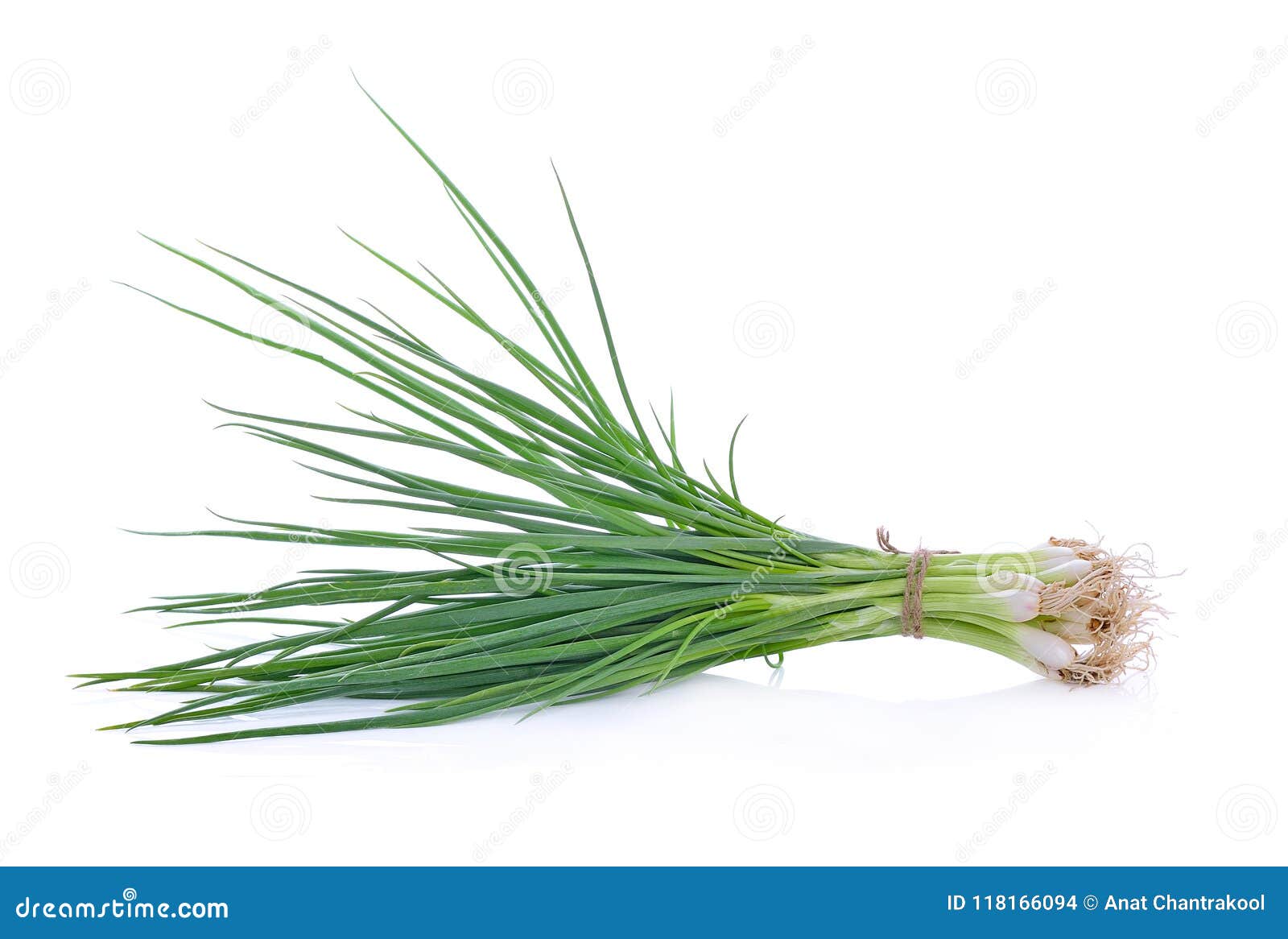 Spring Onions on a White Background. Stock Photo - Image of onion ...