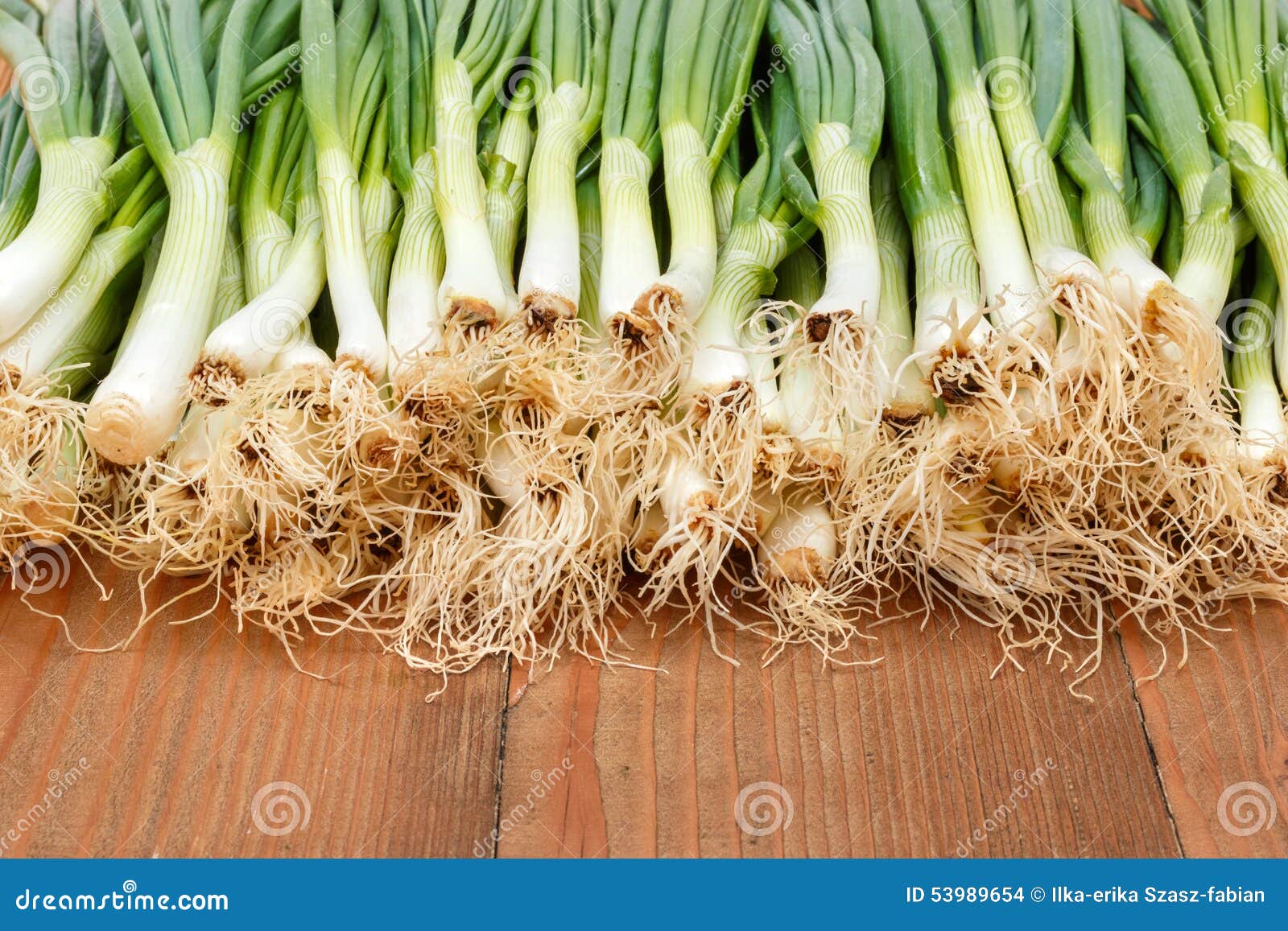 Spring Onions on Wooden Board Stock Photo - Image of natural ...