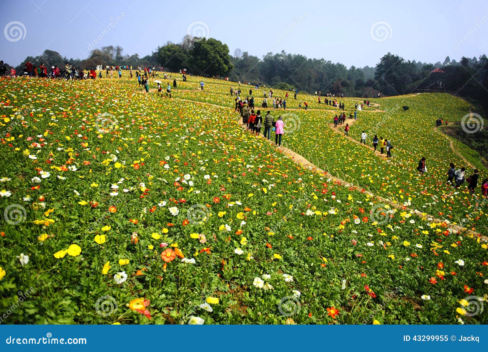 Spring Outing of Chinese People Editorial Image - Image of grow ...