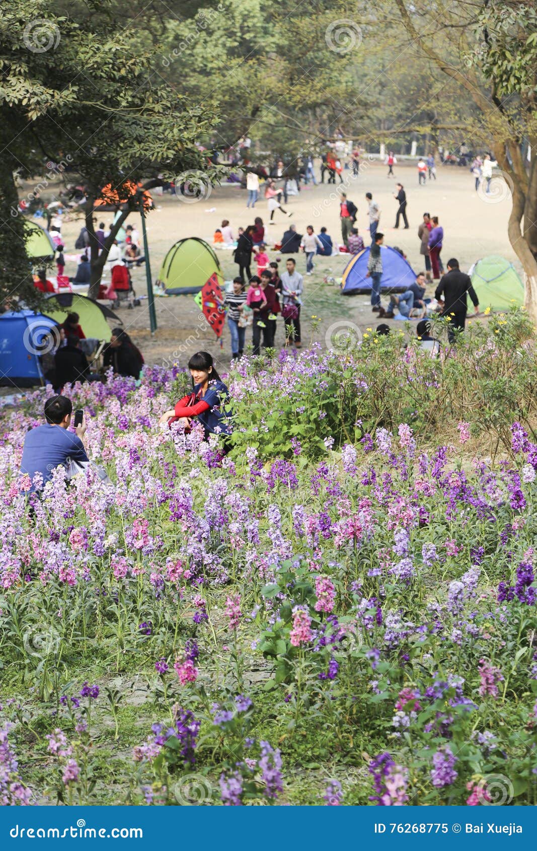 Spring Outing in the Park,chengdu,china Editorial Image - Image of ...
