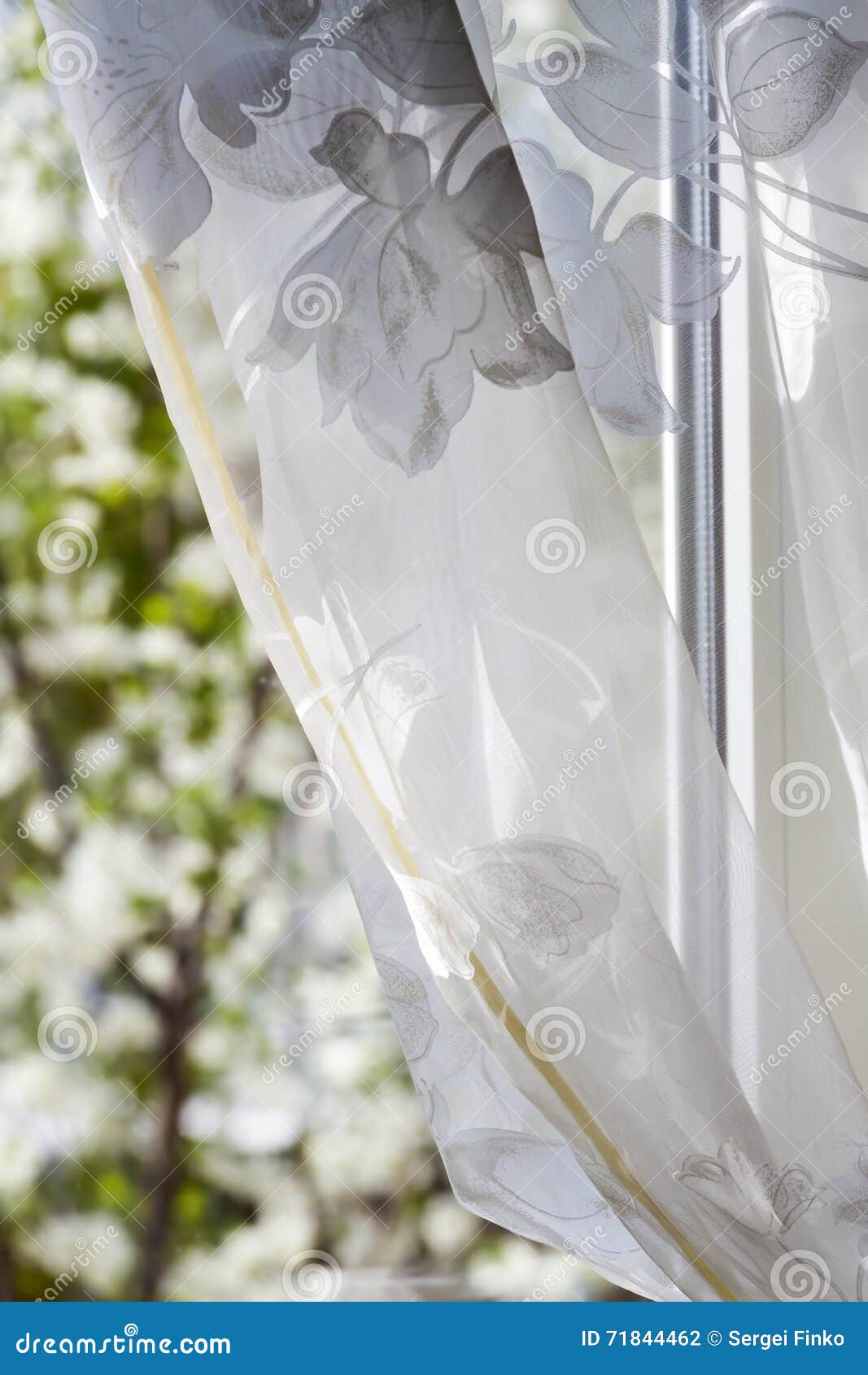 Spring outside window stock photo. Image of light, formal - 71844462