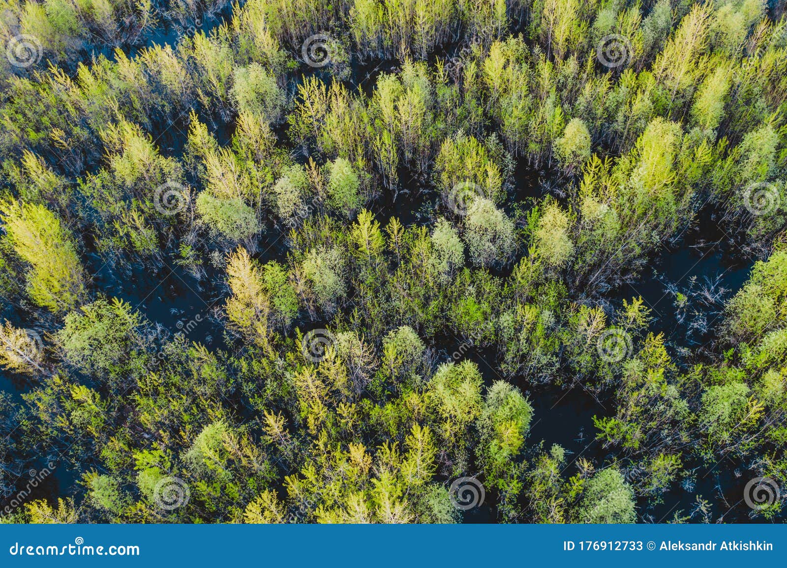 Spring overflow landscape stock image. Image of river - 176912733