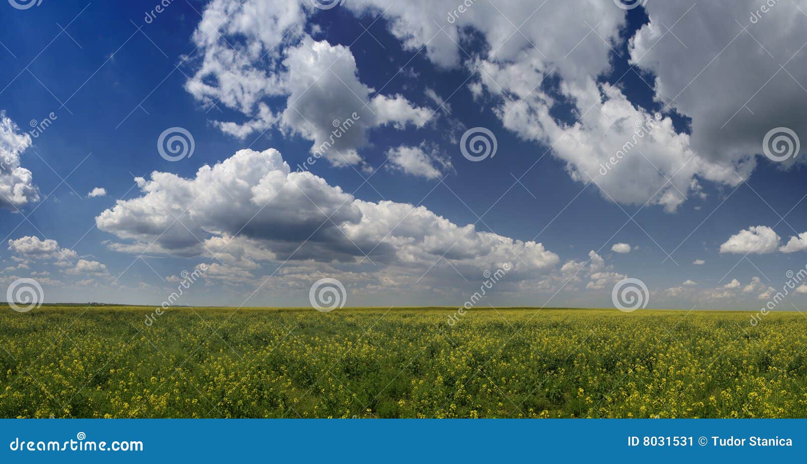 Spring Panorama stock image. Image of plain, clouds, blue - 8031531
