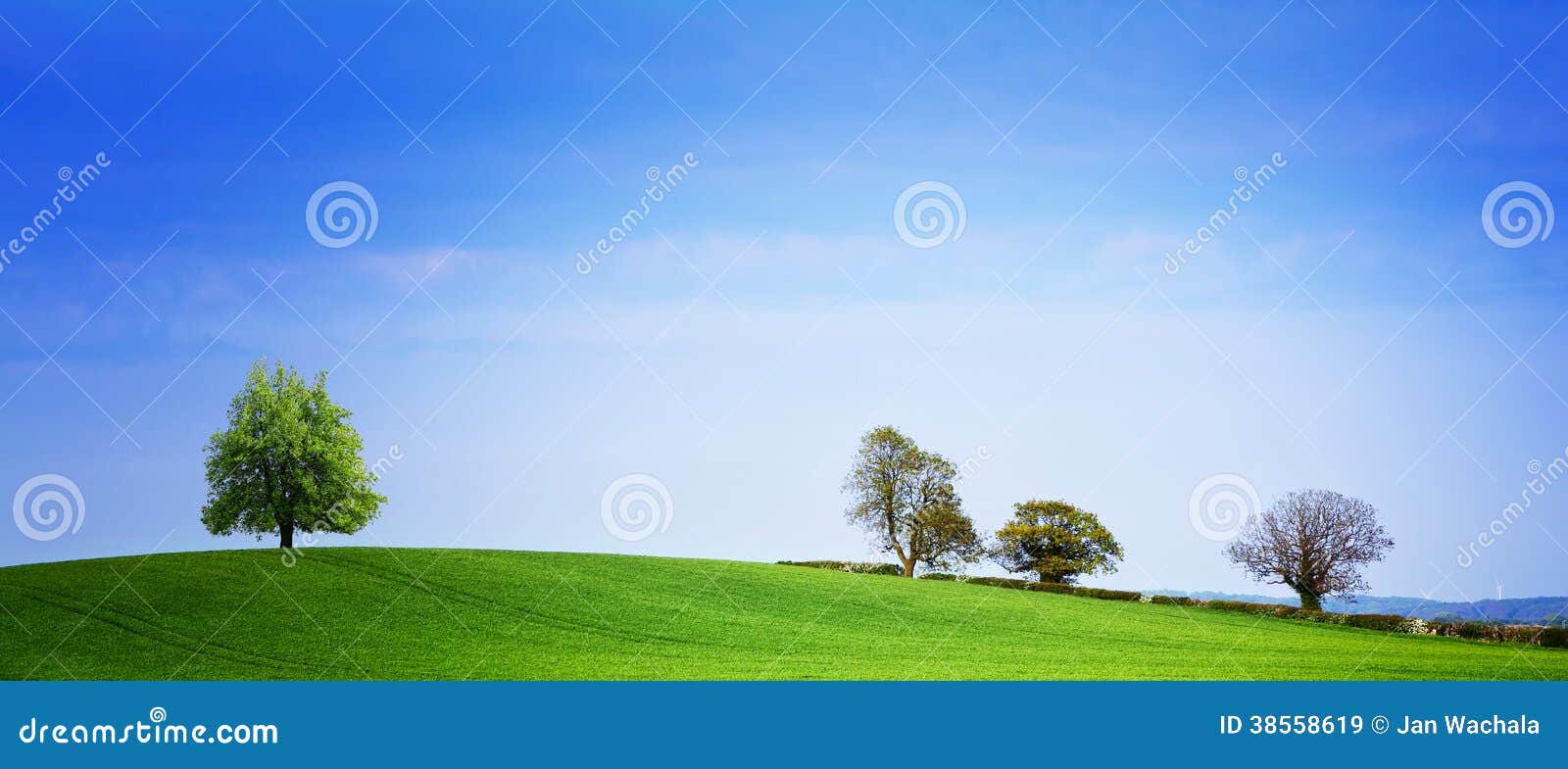 Spring panorama stock image. Image of heavens, morning - 38558619