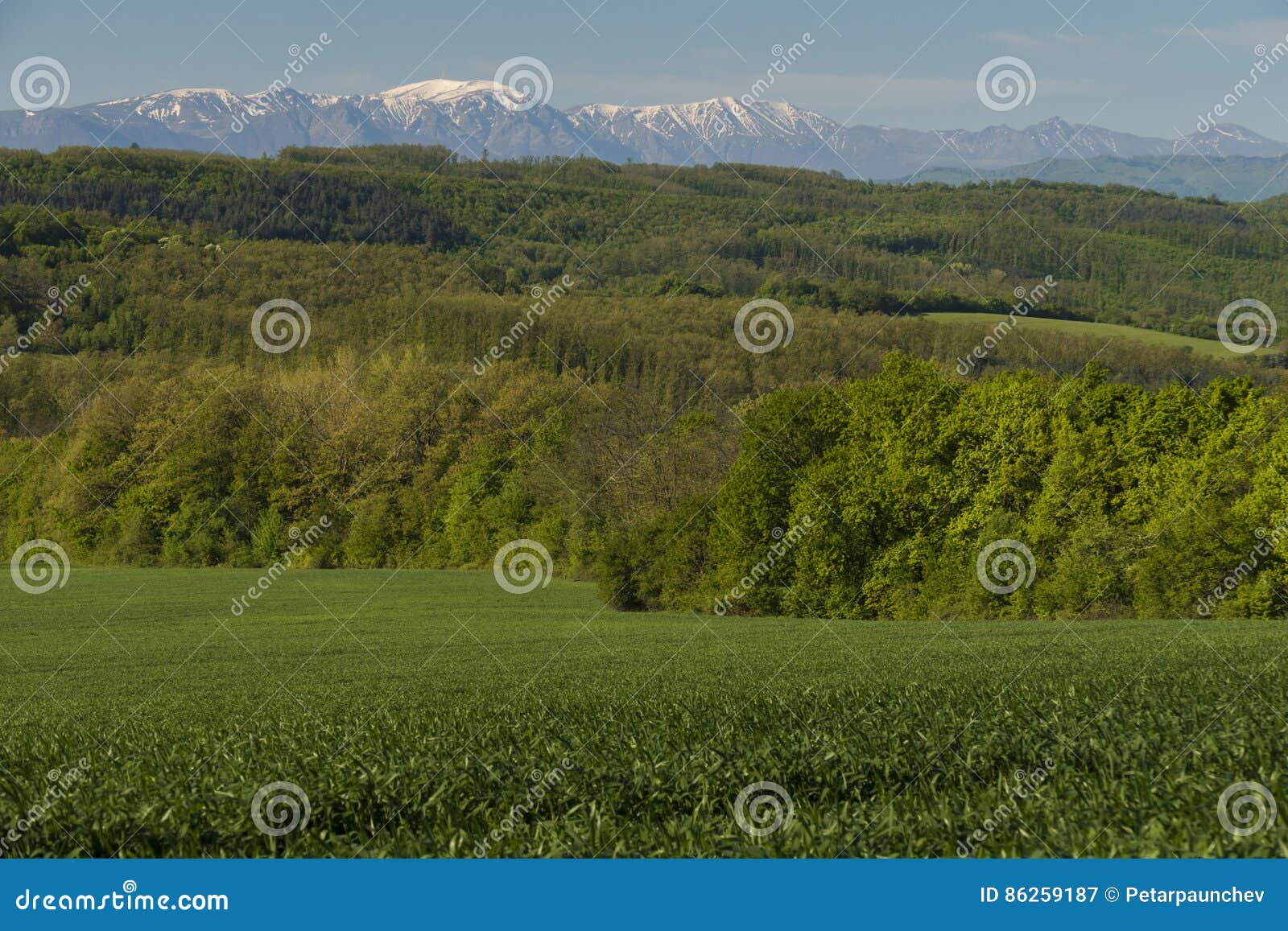 Spring panorama stock image. Image of europe, flowers - 86259187