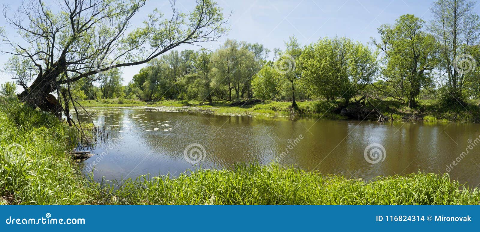 Spring Panorama of River and Trees Stock Photo - Image of lake, spring ...