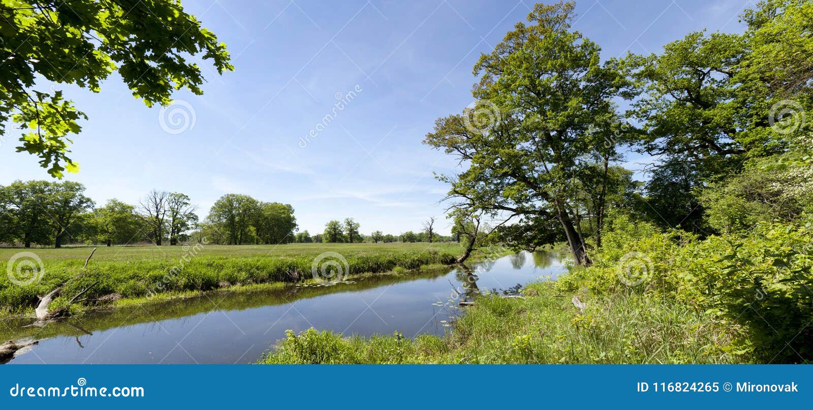 Spring panoramic landscape stock image. Image of scenery - 116824265