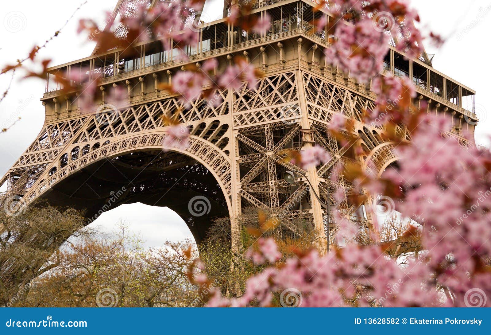 Spring in Paris stock photo. Image of pink, seasonal - 13628582