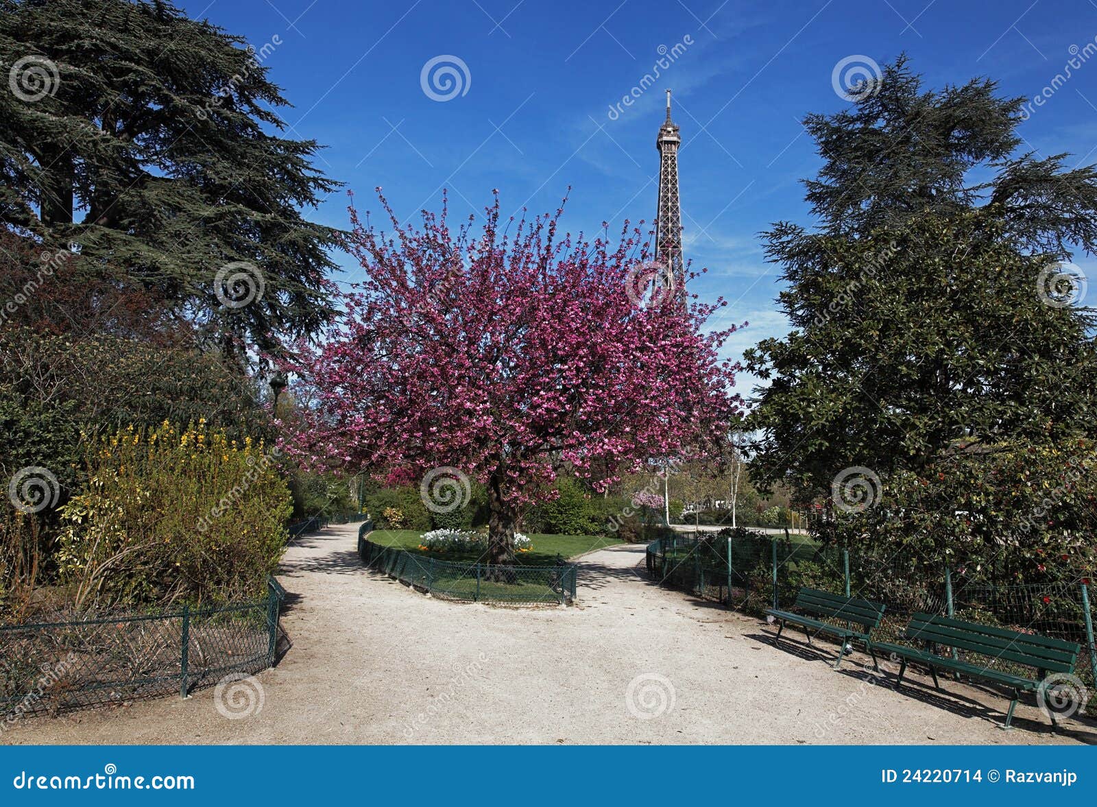 Spring in Paris stock photo. Image of landmark, flowers - 24220714