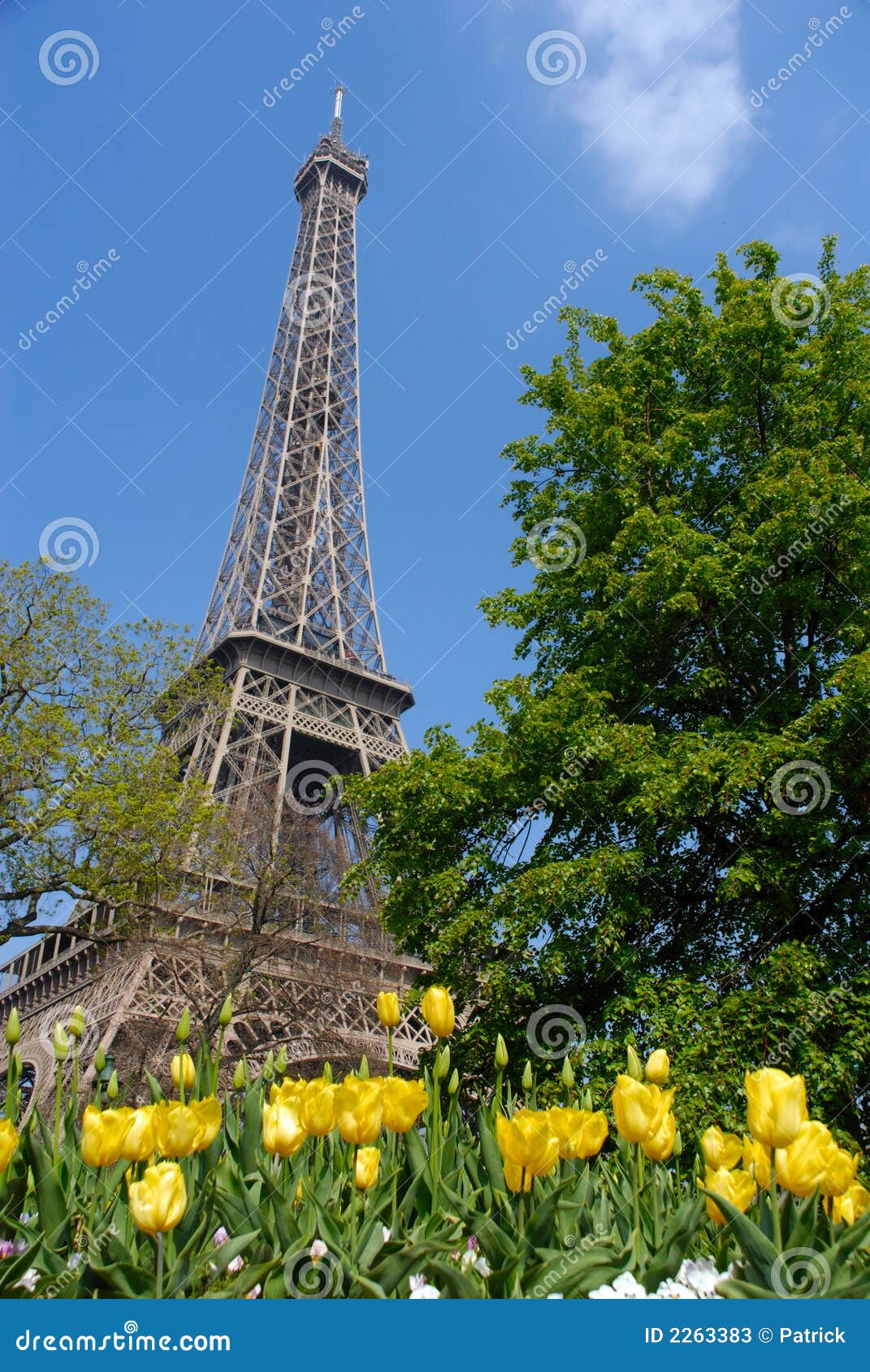 Spring in Paris, Eiffel Tower Stock Image - Image of europe, green: 2263383