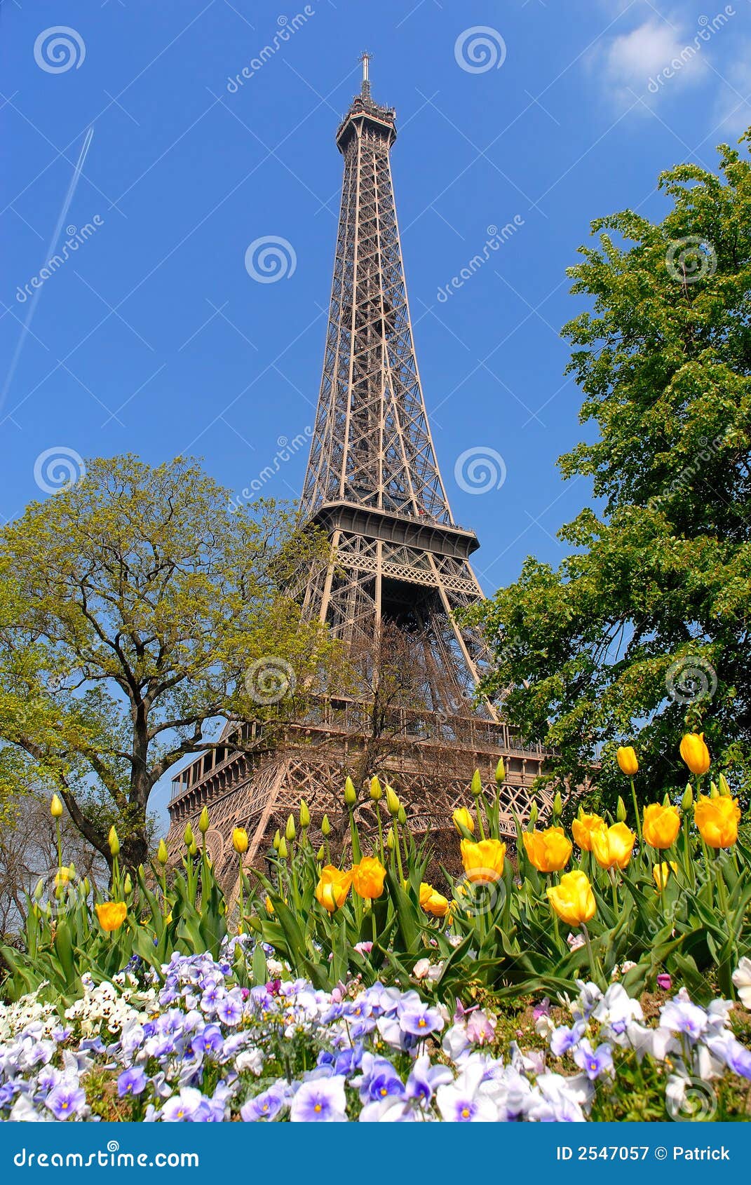 Spring in Paris, Eiffel Tower Stock Image - Image of spring, tulip: 2547057