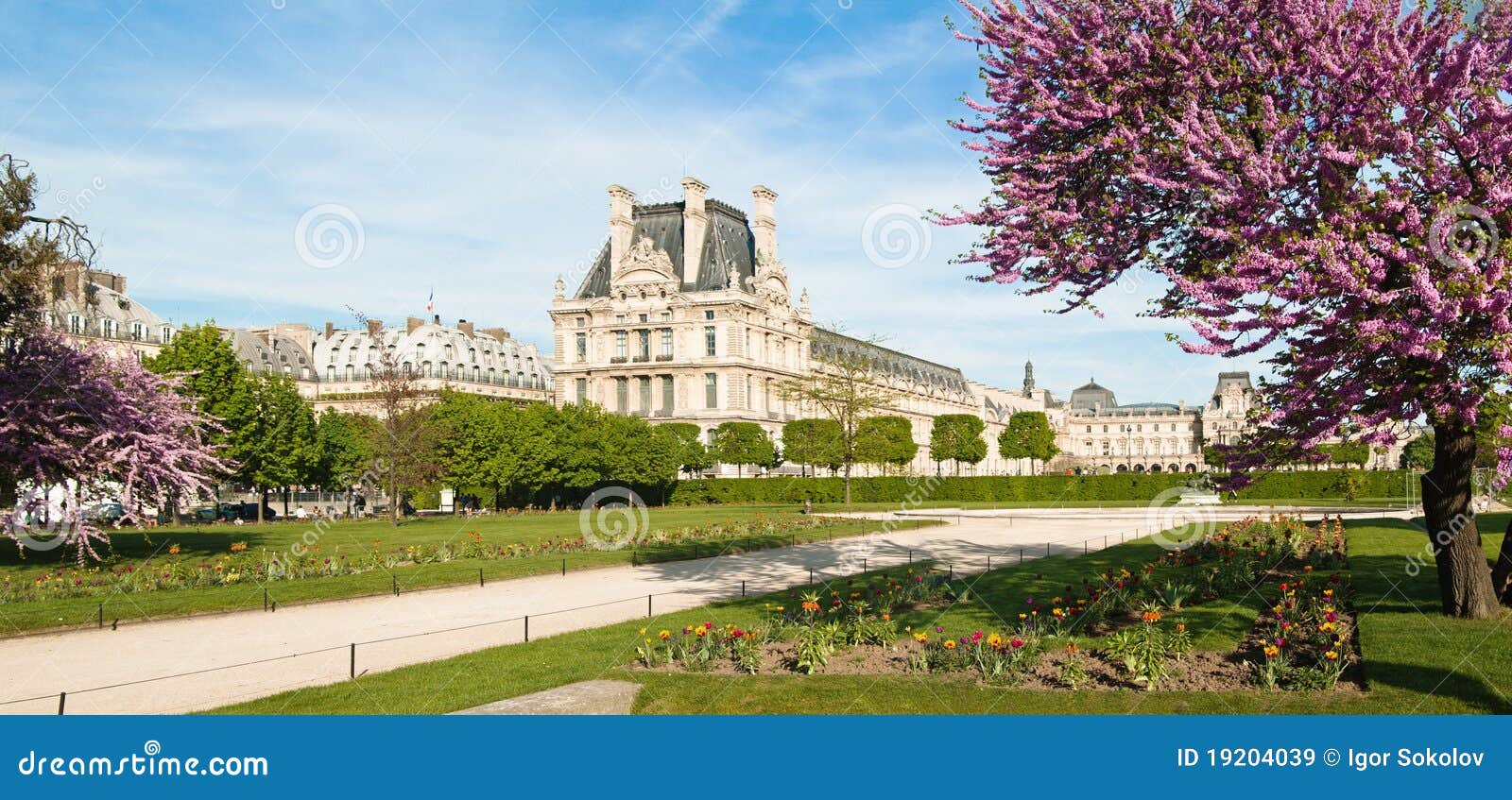 Spring in Paris. France stock image. Image of blooming - 19204039
