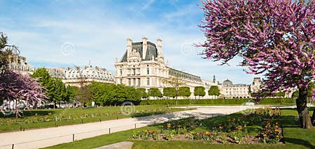 Spring in Paris. France stock image. Image of blooming - 19204039