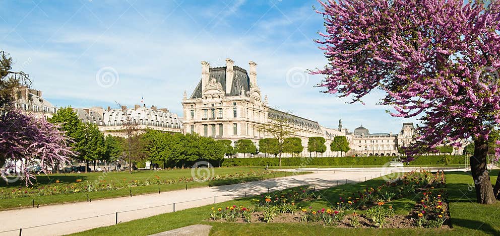 Spring in Paris. France stock image. Image of blooming - 19204039