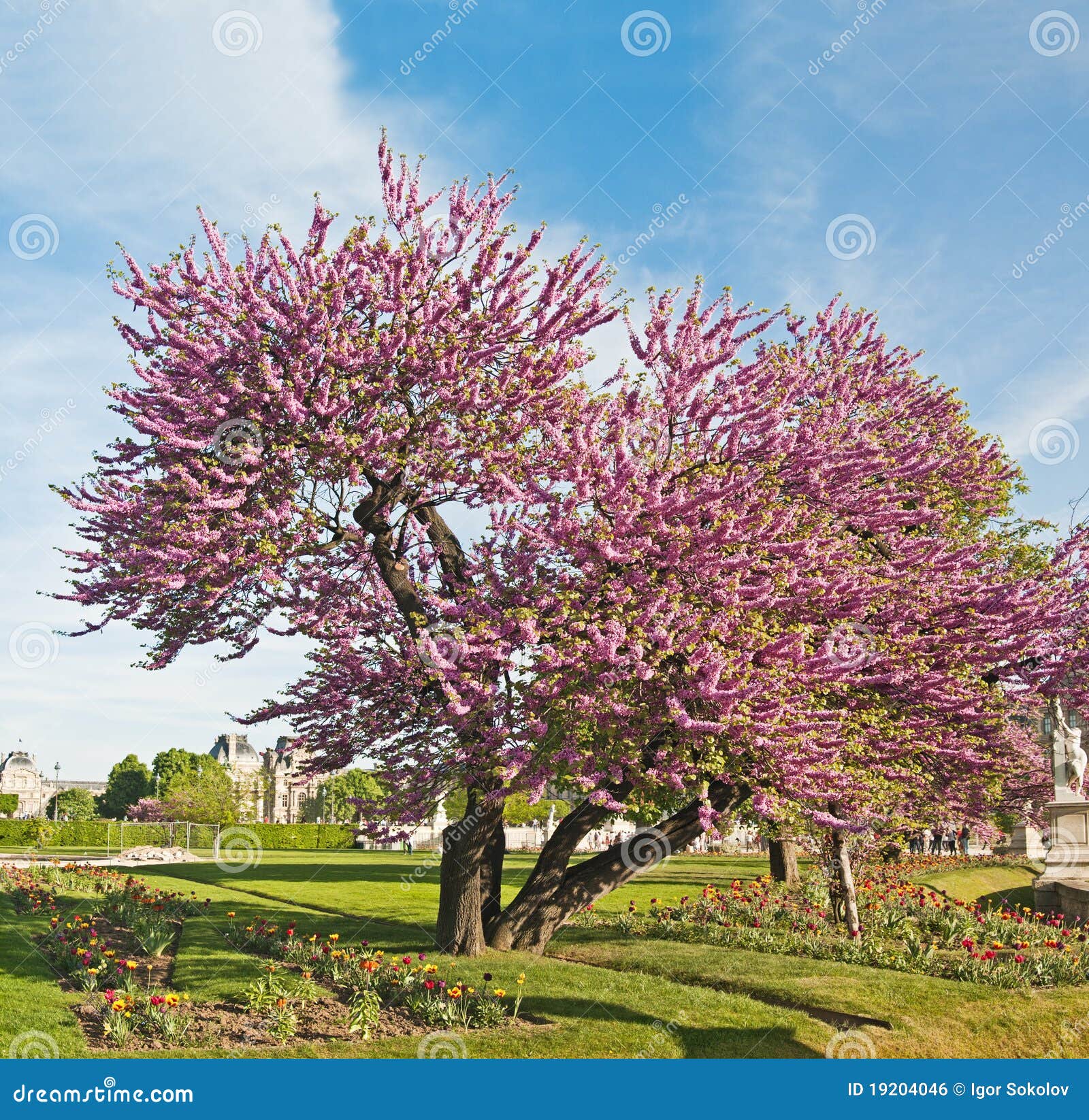 Spring in Paris. France stock photo. Image of europe - 19204046
