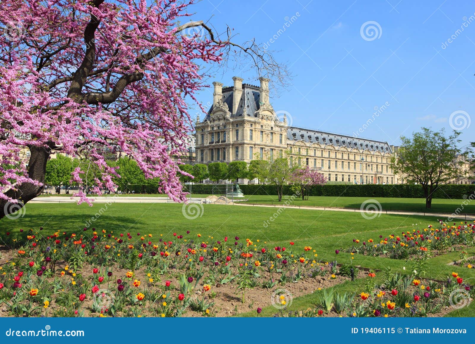 Spring in Paris, France stock image. Image of bright - 19406115