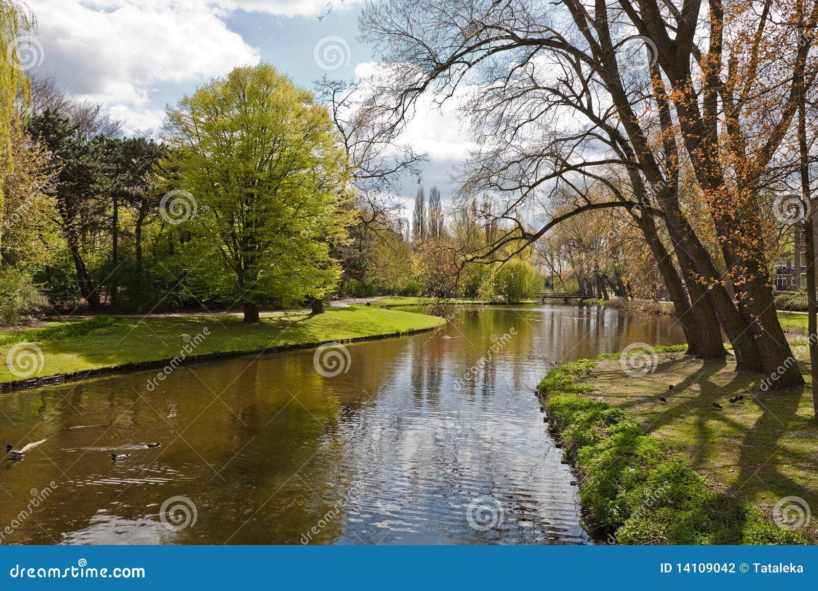 Spring in the park stock photo. Image of green, nature - 14109042