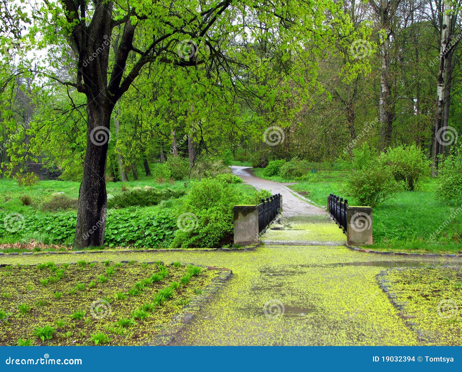 Spring in a park stock photo. Image of pond, river, alley - 19032394