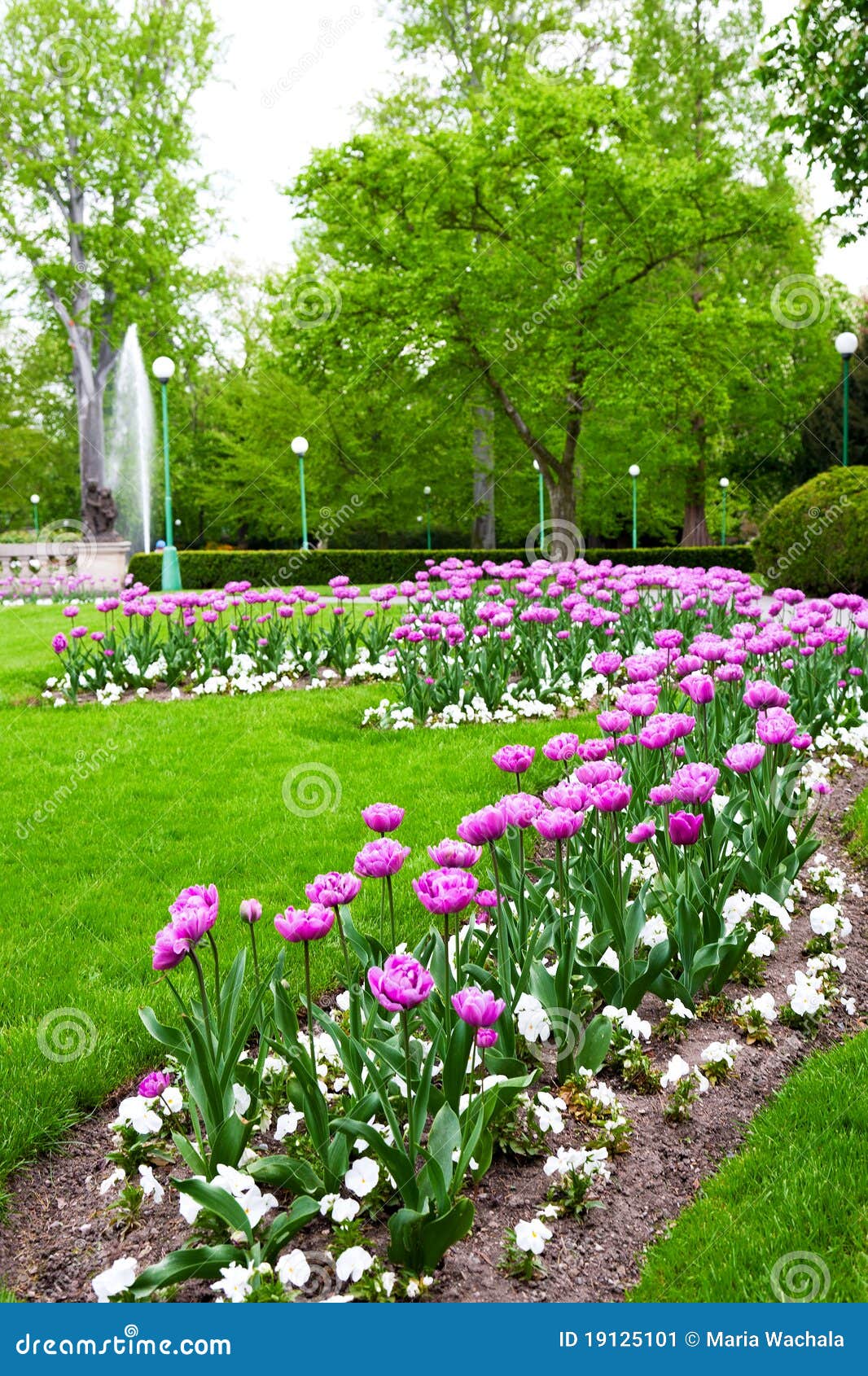 Spring in the park stock image. Image of green, natural - 19125101