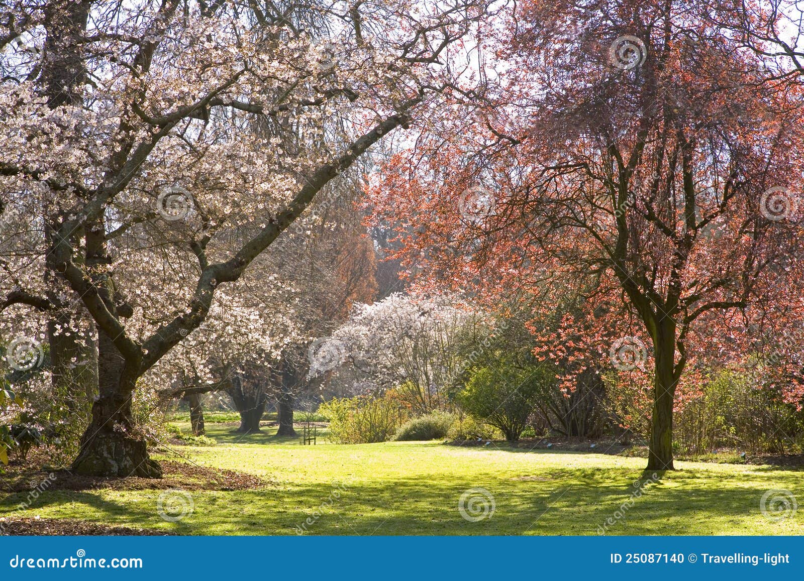 Spring in the Park stock photo. Image of zealand, horizontal - 25087140