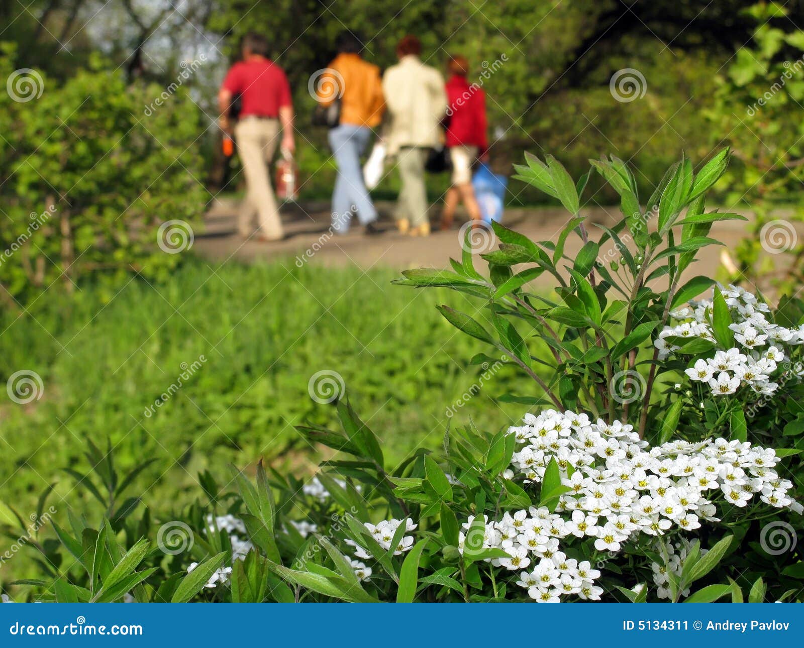 Spring in the park stock image. Image of leaves, people - 5134311