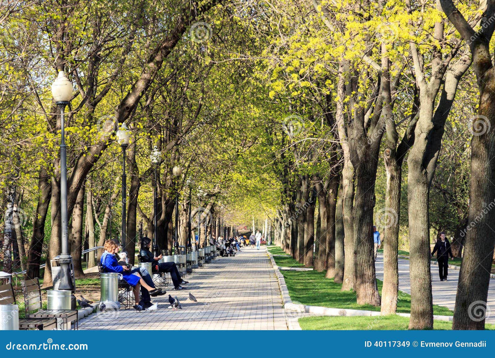 Spring in the Park editorial stock image. Image of spring - 40117349