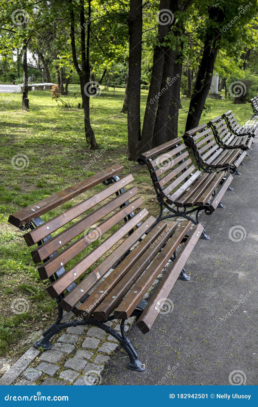 Spring Park with Benches in Perspective Stock Image - Image of orange ...