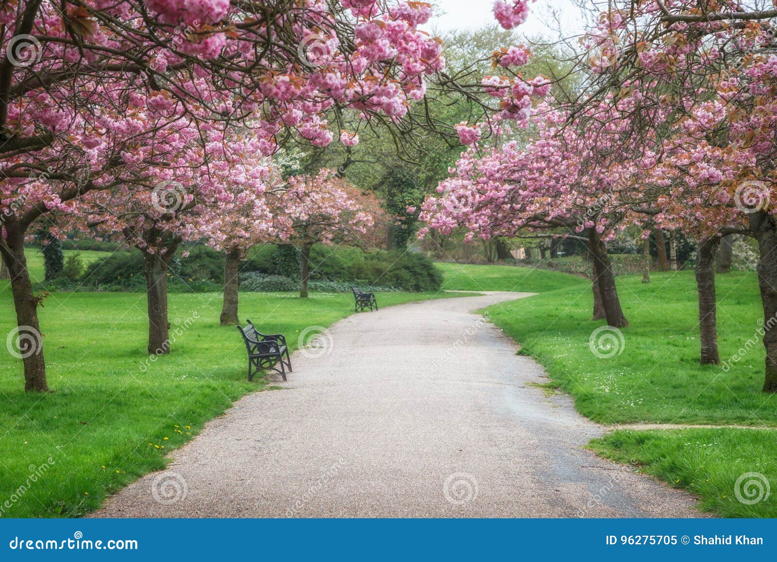 Spring in Park England stock image. Image of path, grass - 96275705