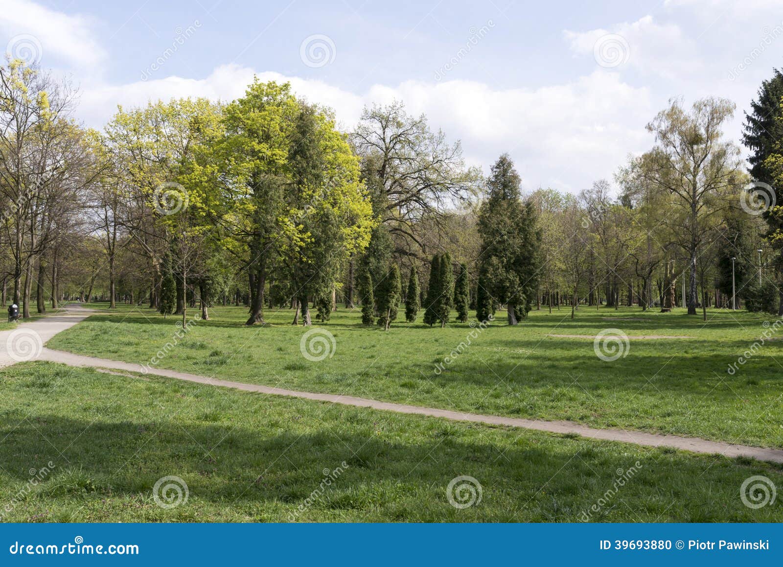 Spring in the park stock photo. Image of sunny, park - 39693880