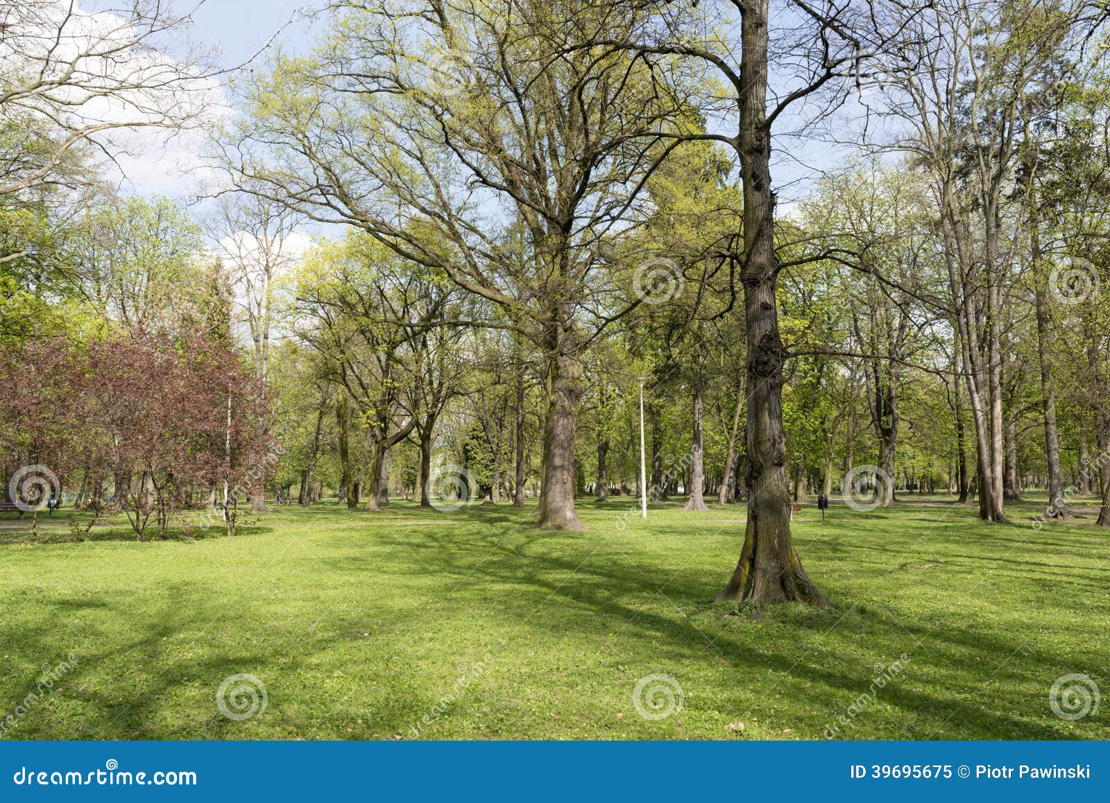 Spring in the park stock image. Image of cast, forest - 39695675