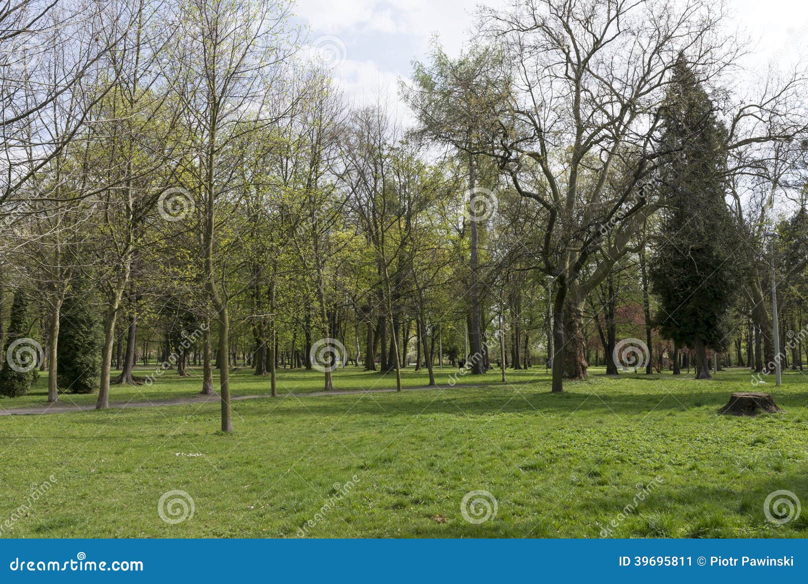 Spring in the park stock image. Image of shadow, park - 39695811