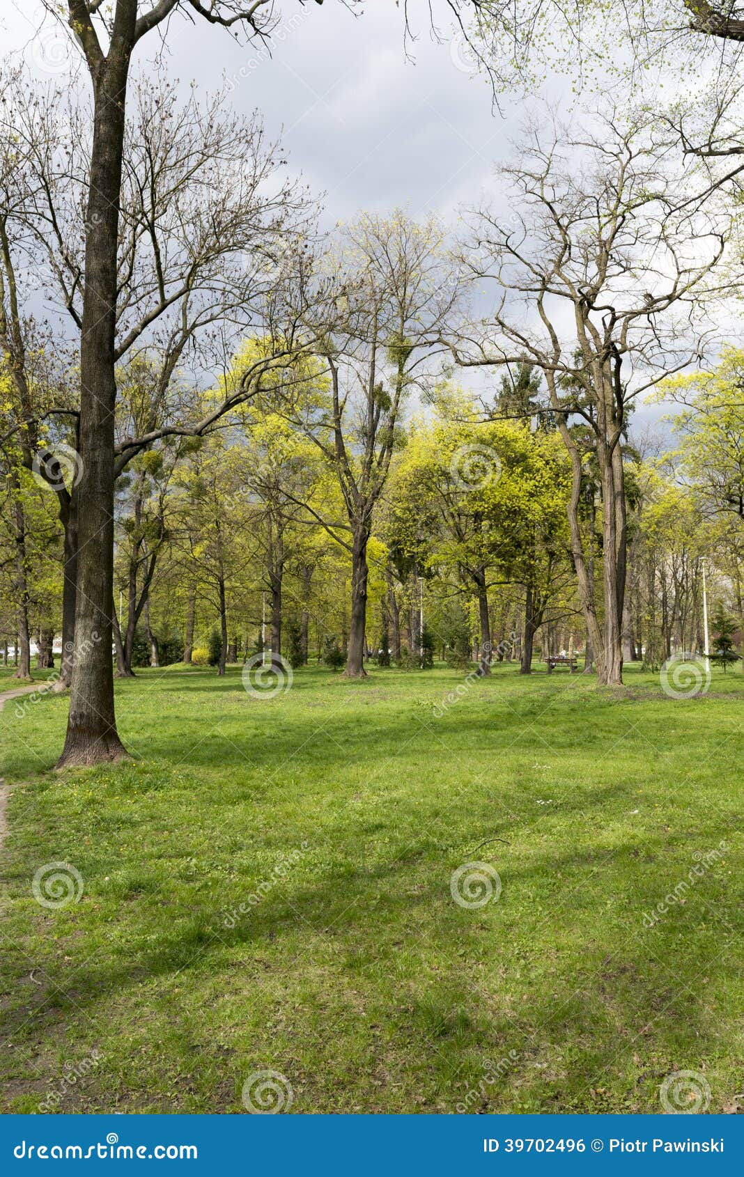Spring in the park stock photo. Image of nature, leafy - 39702496