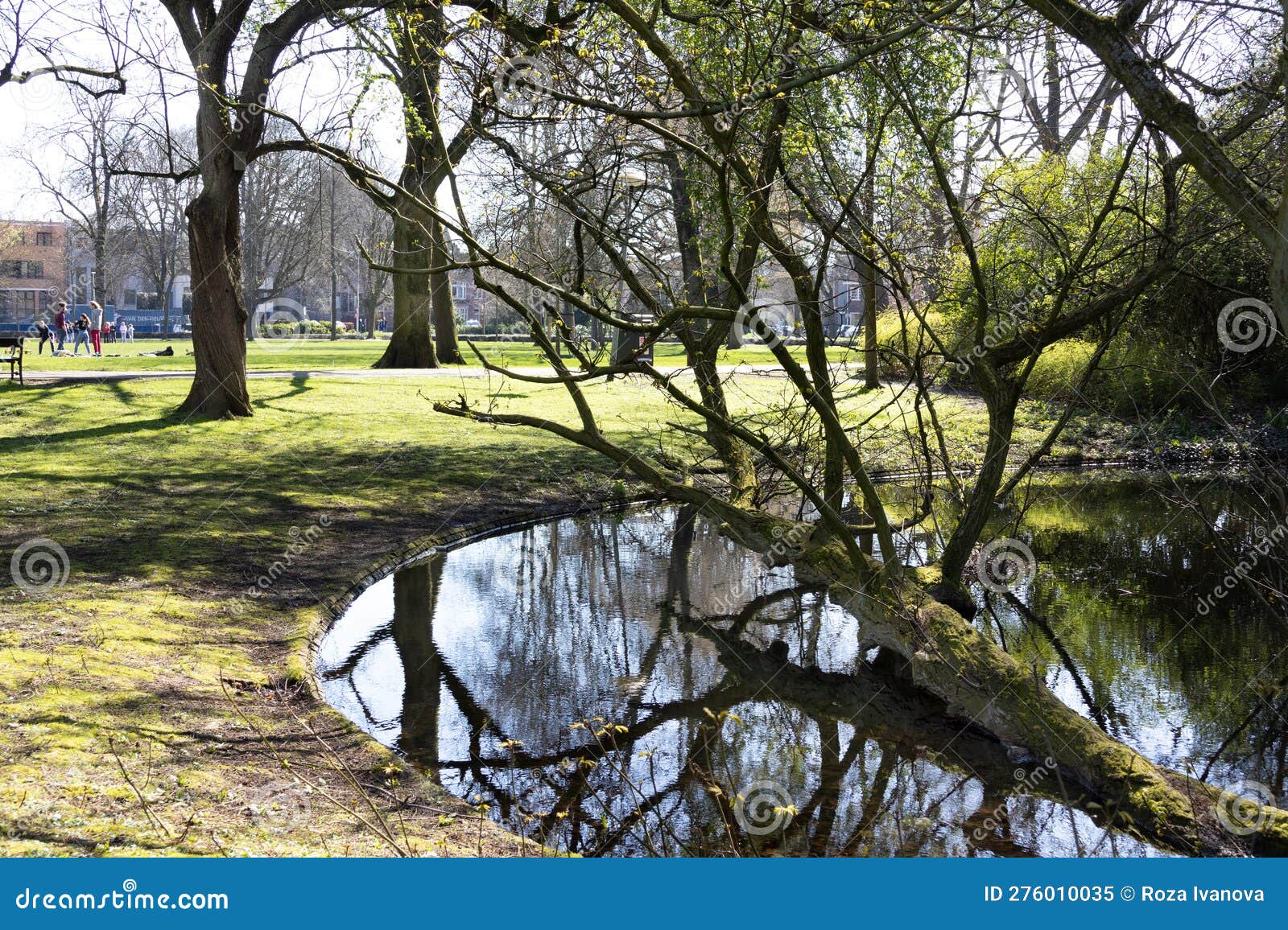 Spring park landscape stock image. Image of horizontal - 276010035