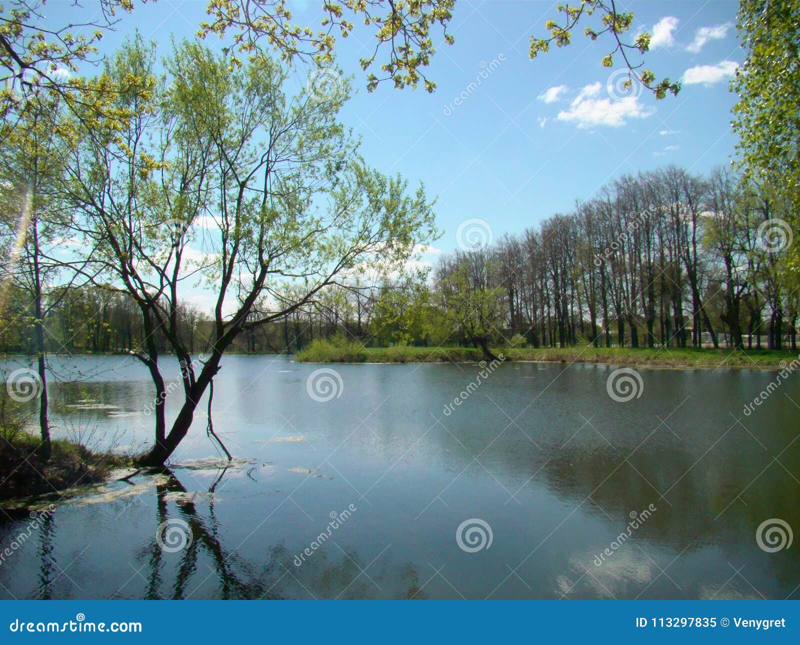 Spring Park Landscape with Water Stock Image - Image of lake, park ...